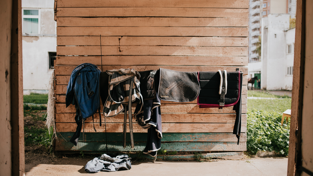 Choosing the Best Tack for Your Horse’s Comfort – Paddock Blade Australia