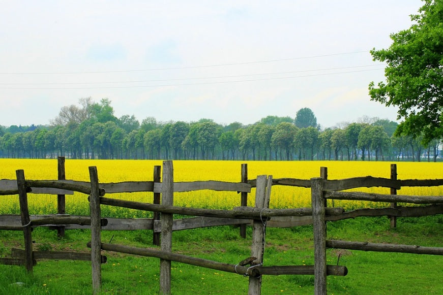 What Type Of Fencing Is Best For Your Horse Paddock? – Paddock Blade ...